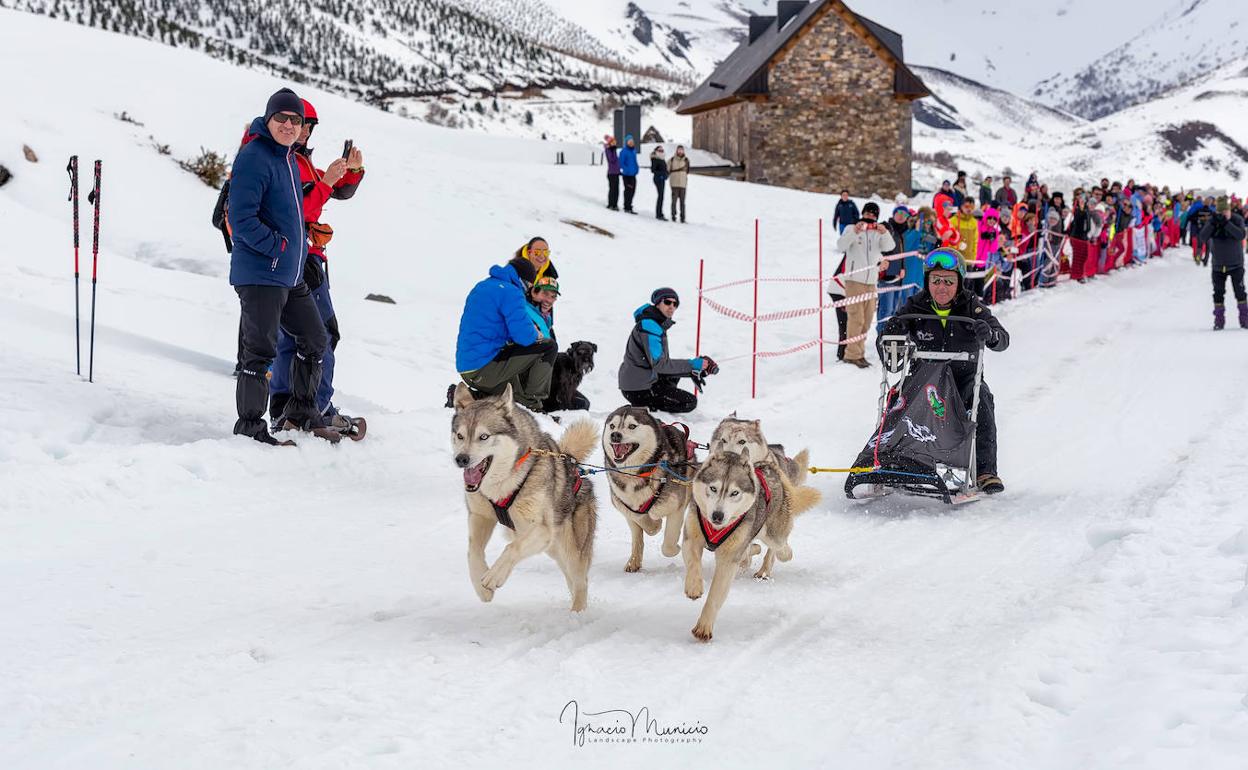 Valdelugueros vuelve a ser cuna del mushing durante este fin de semana | leonoticias.com